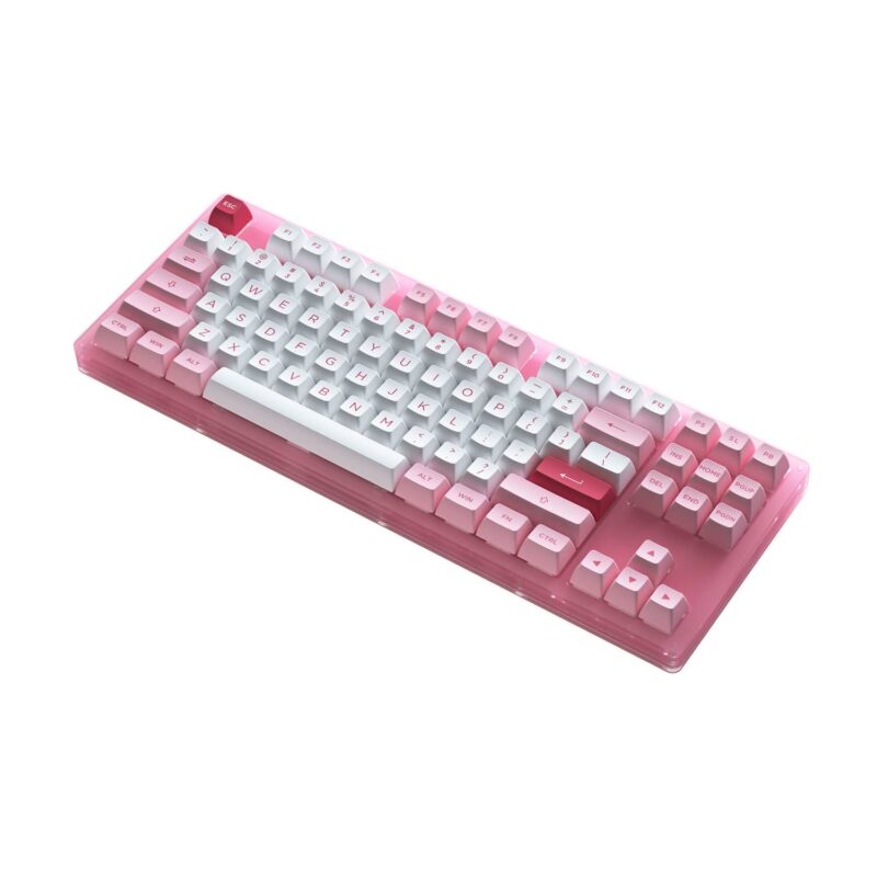 Bàn phím cơ AKKO ACR87 Pink (Hotswap / RGB / AKKO CS sw Jelly Pink ...