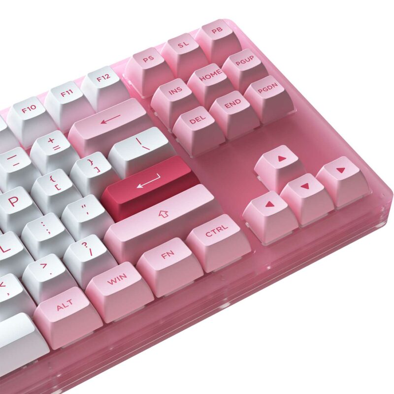 Bàn phím cơ AKKO ACR87 Pink (Hotswap / RGB / AKKO CS sw Jelly Pink ...