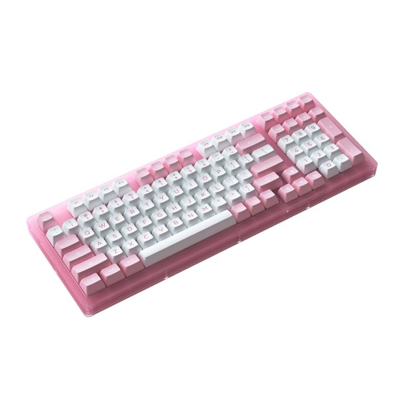 Bàn phím cơ AKKO ACR98 Pink (Hotswap / RGB / AKKO CS sw Jelly Pink ...