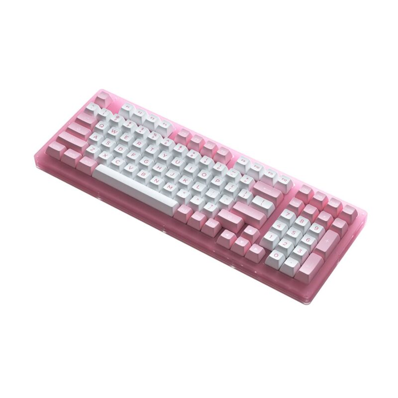 Bàn phím cơ AKKO ACR98 Pink (Hotswap / RGB / AKKO CS sw Jelly Pink ...