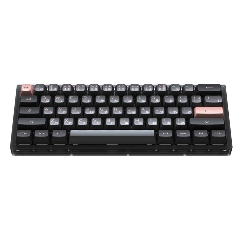 Bàn phím cơ AKKO ACR61 Black (Hotswap / RGB / AKKO CS sw Jelly Black ...