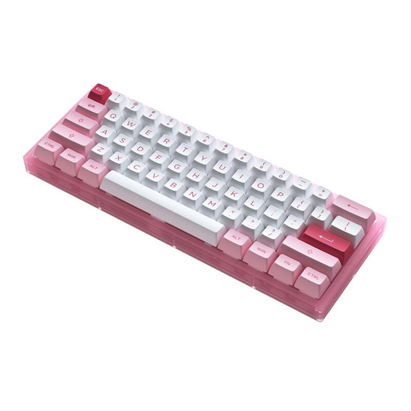 Bàn phím cơ AKKO ACR61 Pink (Hotswap / RGB / AKKO CS sw Jelly Pink ...
