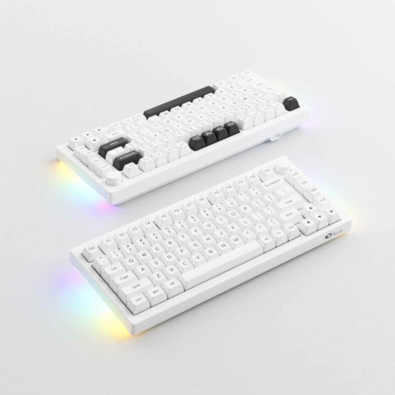 AKKO Keycap Set – Black on White BoW (ABS Double-Shot / SAL profile ...