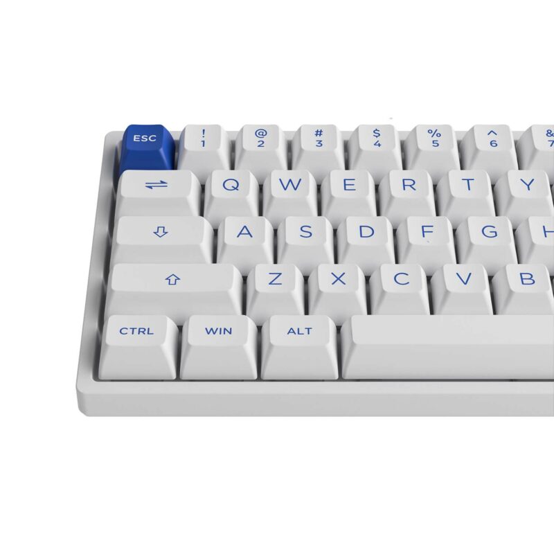 Bàn phím cơ AKKO 3068B Plus Blue on White (Bluetooth 5.0 / Wireless 2 ...