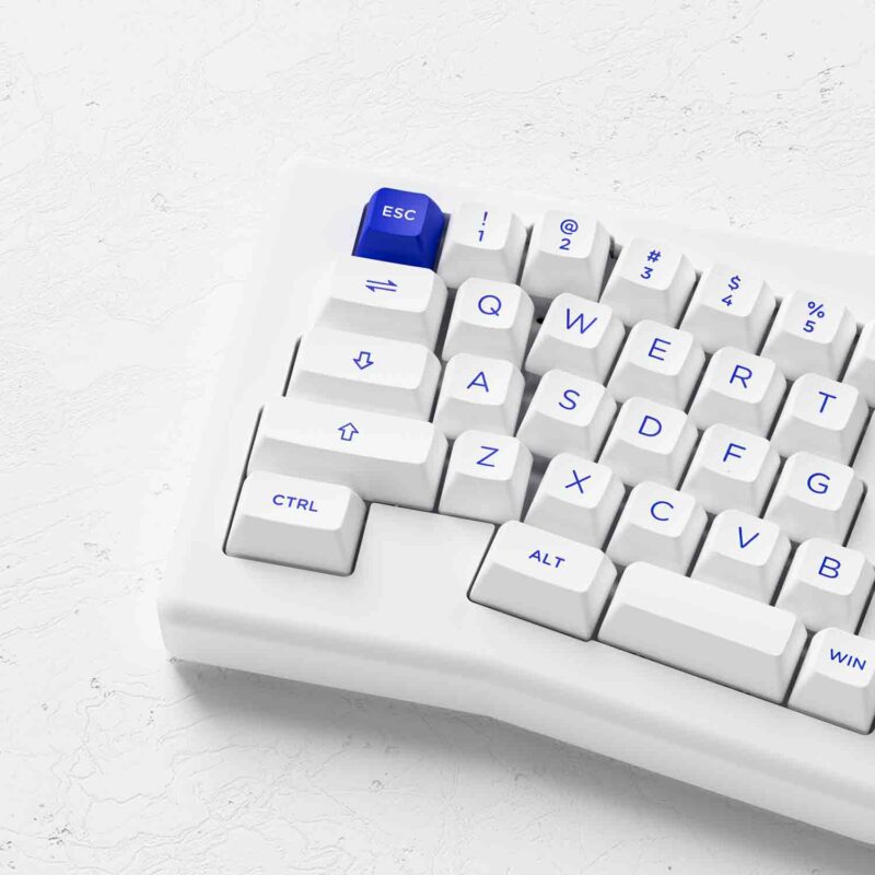 Bàn phím AKKO ACR Pro Alice Plus (Spray Painted White / RGB / Hotswap ...