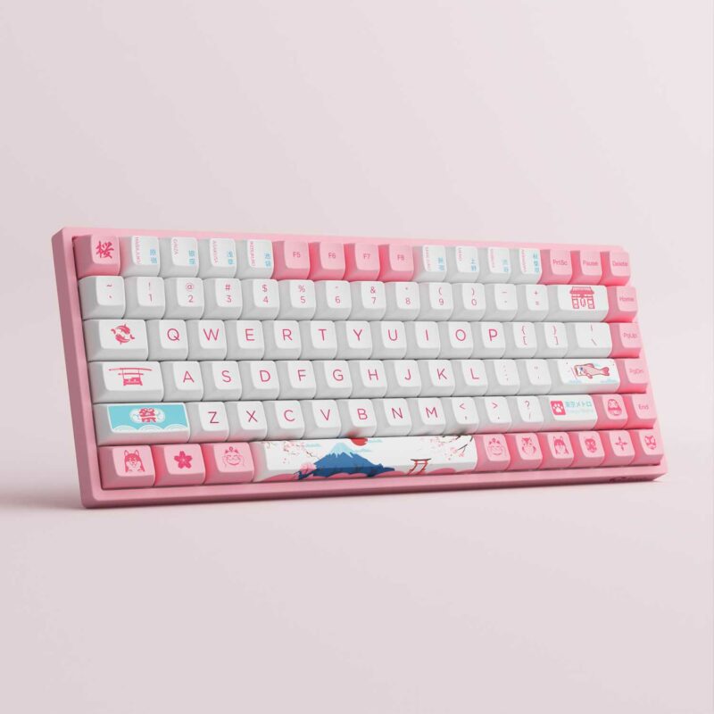 Bàn phím cơ AKKO 3084B Plus World Tour Tokyo R2 (Multi-modes / Hotswap ...