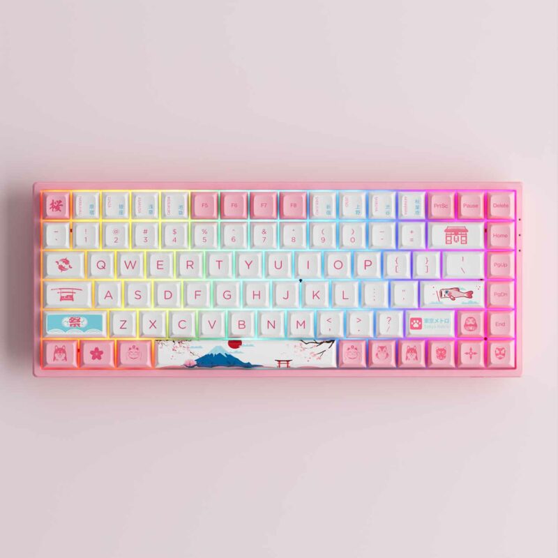 Bàn phím cơ AKKO 3084B Plus World Tour Tokyo R2 (Multi-modes / Hotswap ...