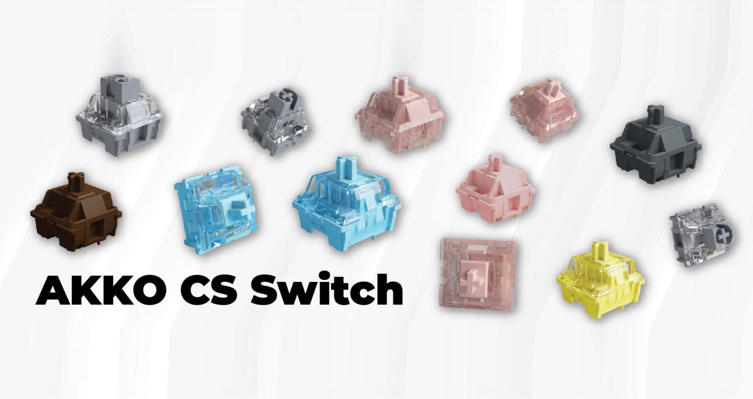 Trang chủ - AKKO Gear