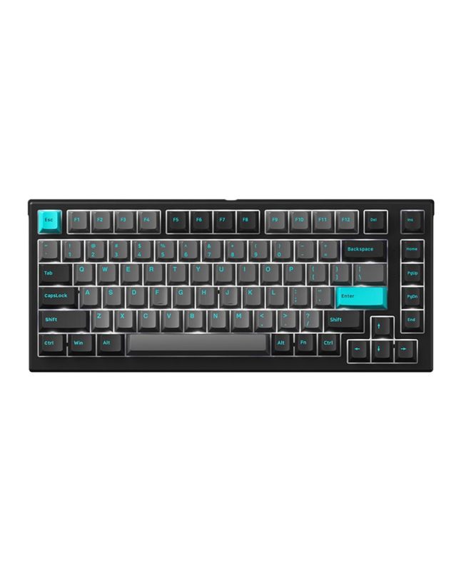 Bàn phím cơ MonsGeek MG75 Black & Cyan (White LED / AKKO sw v3) - AKKO Gear